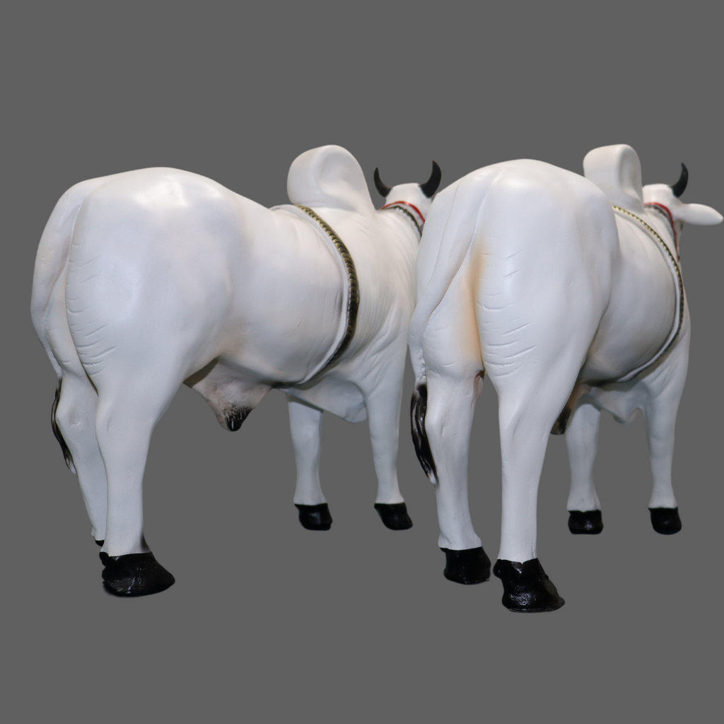 Ongole Bulls Pair - Large – Wheel Crafts