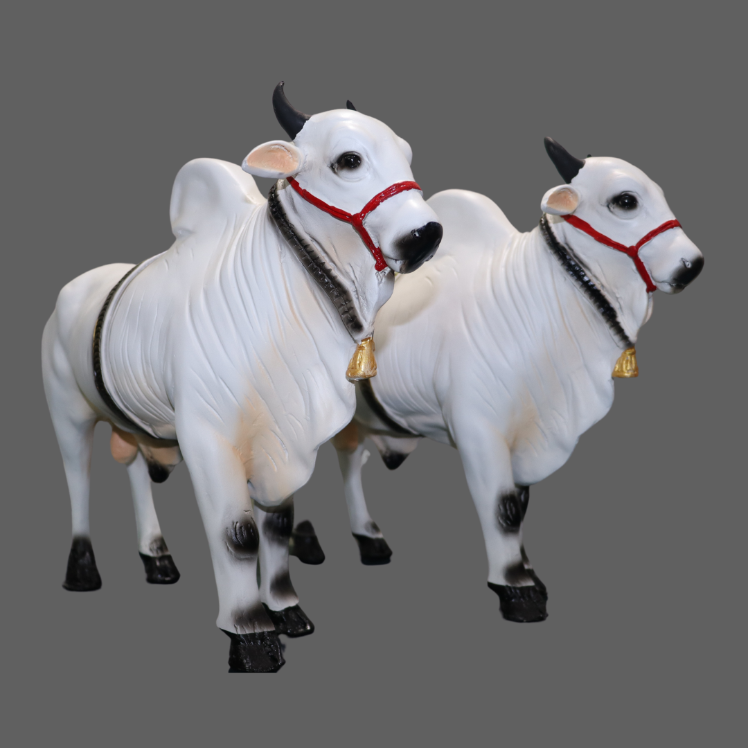 Ongole Bulls Pair - Large – Wheel Crafts